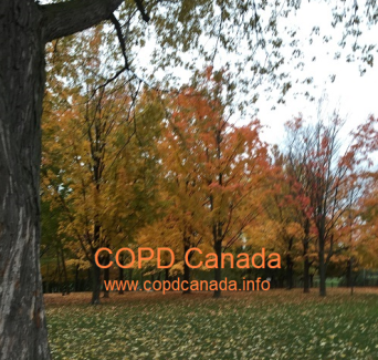 Hypercapnia - Carbon Dioxide Retention